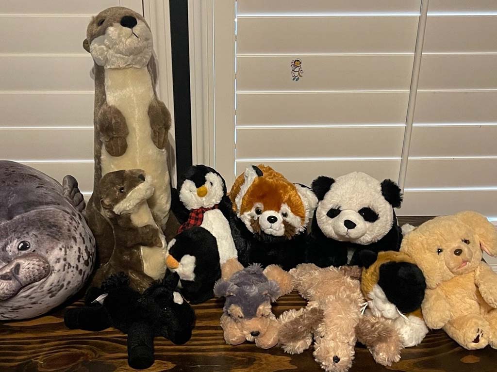 What are the different types of plush toys