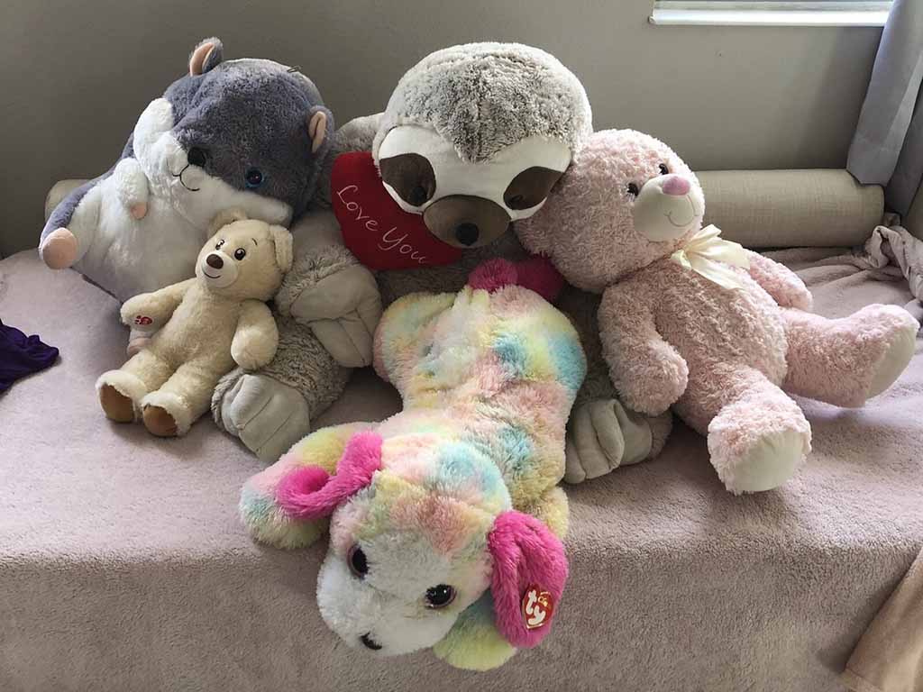 Why are plush toys so comforting：An ExpertInsight