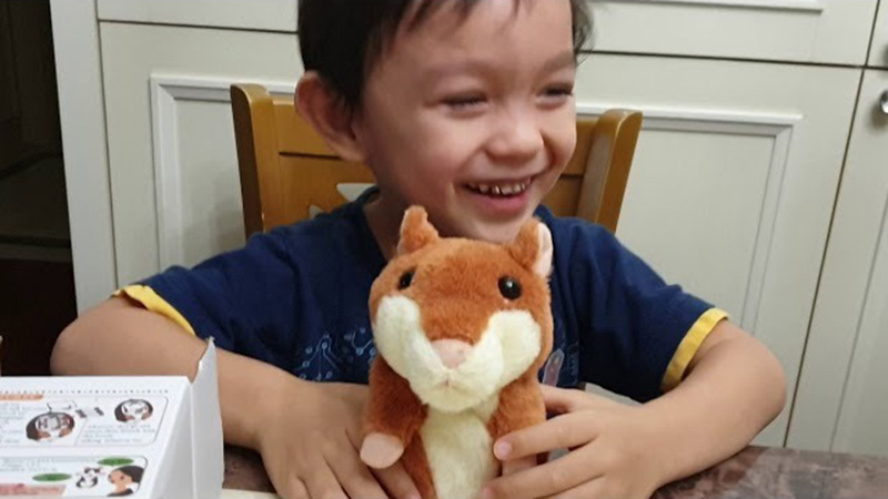 stuffed animal that repeats what you say：Detailed Guide